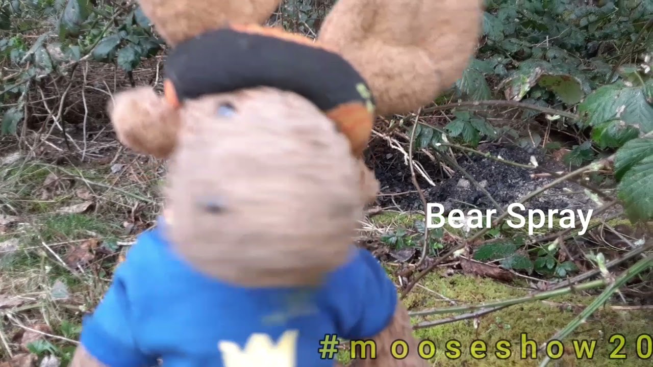 Moose Tips (Bear Spray) - YouTube