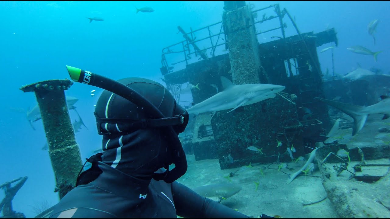 Freediving no fins with Sharks in a Shipwreck (Ray of Hope) Nassau ...