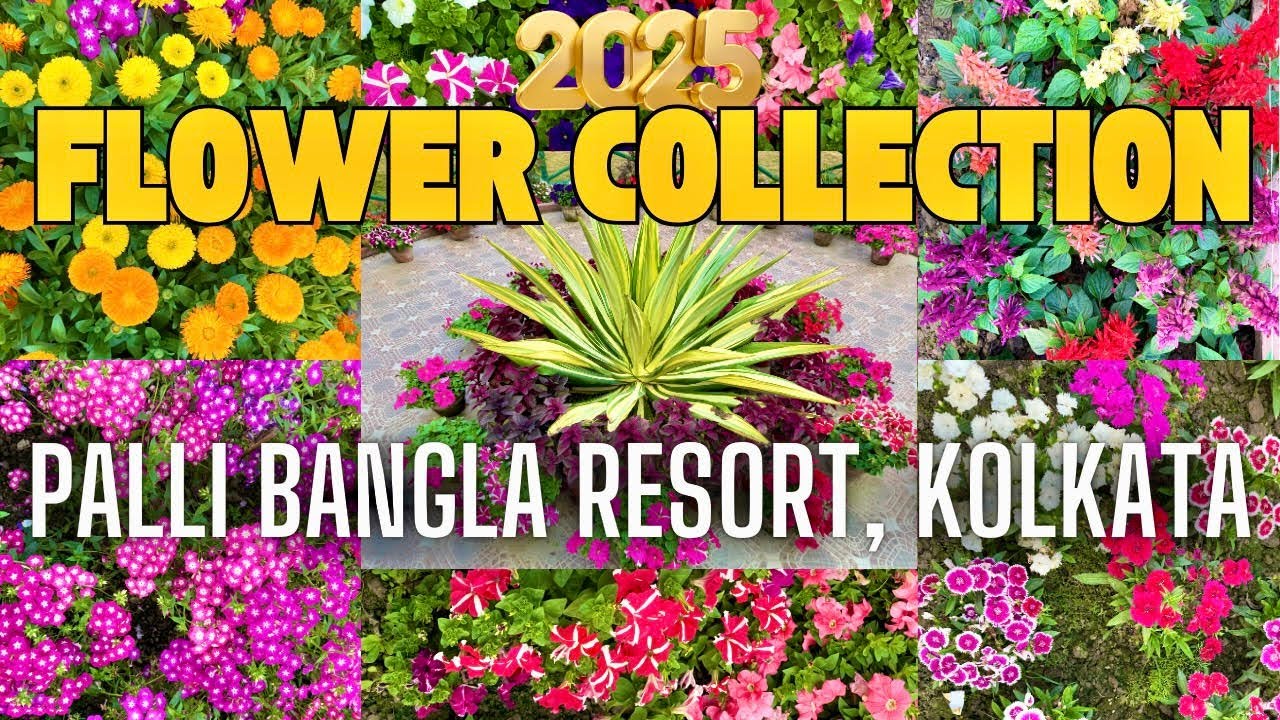 Unique Flower Garden of Palli Bangla Resort, Kolkata. Amazing Flower ...