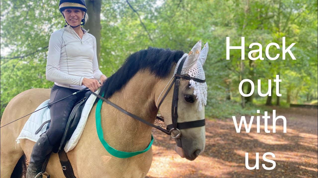 Tack up and ride with me / hacking champ round Gaddesden estate cross ...