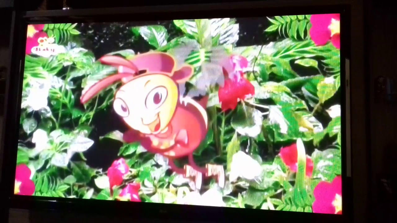 TV Pinguim - BZZZZZZZ 3 - YouTube