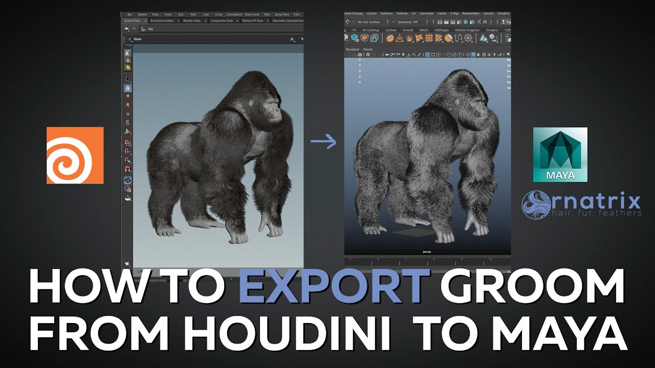Экспорт волос из Houdini в Maya / Ornatrix / 3D - YouTube
