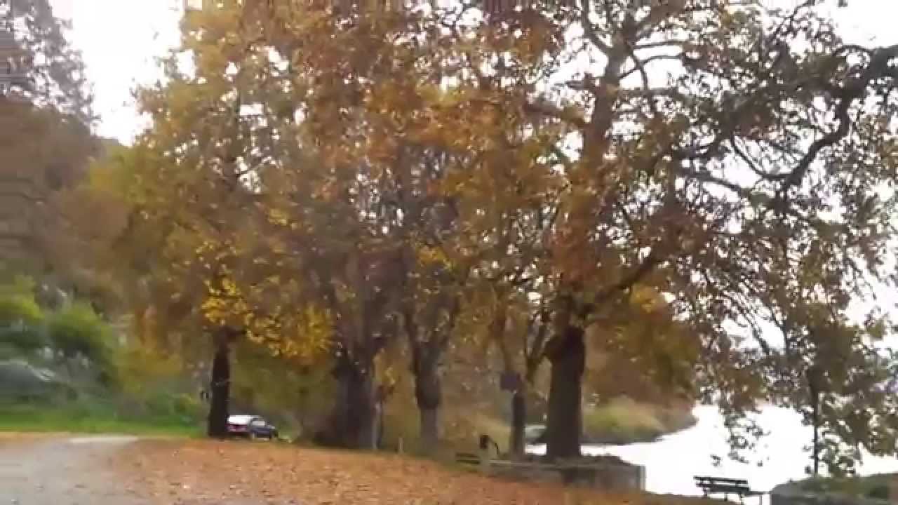 Η ΠΑΡΕΑ ΠΟΥ ΗΤΑΝ ΓΥΡΩ ΑΠΟ ΤΟΝ ΠΛΑΤΑΝΟ ΣΤΗΝ ΛΙΜΝΗ ΤΗΣ ΚΑΣΤΟΡΙΑΣ 16/11 ...