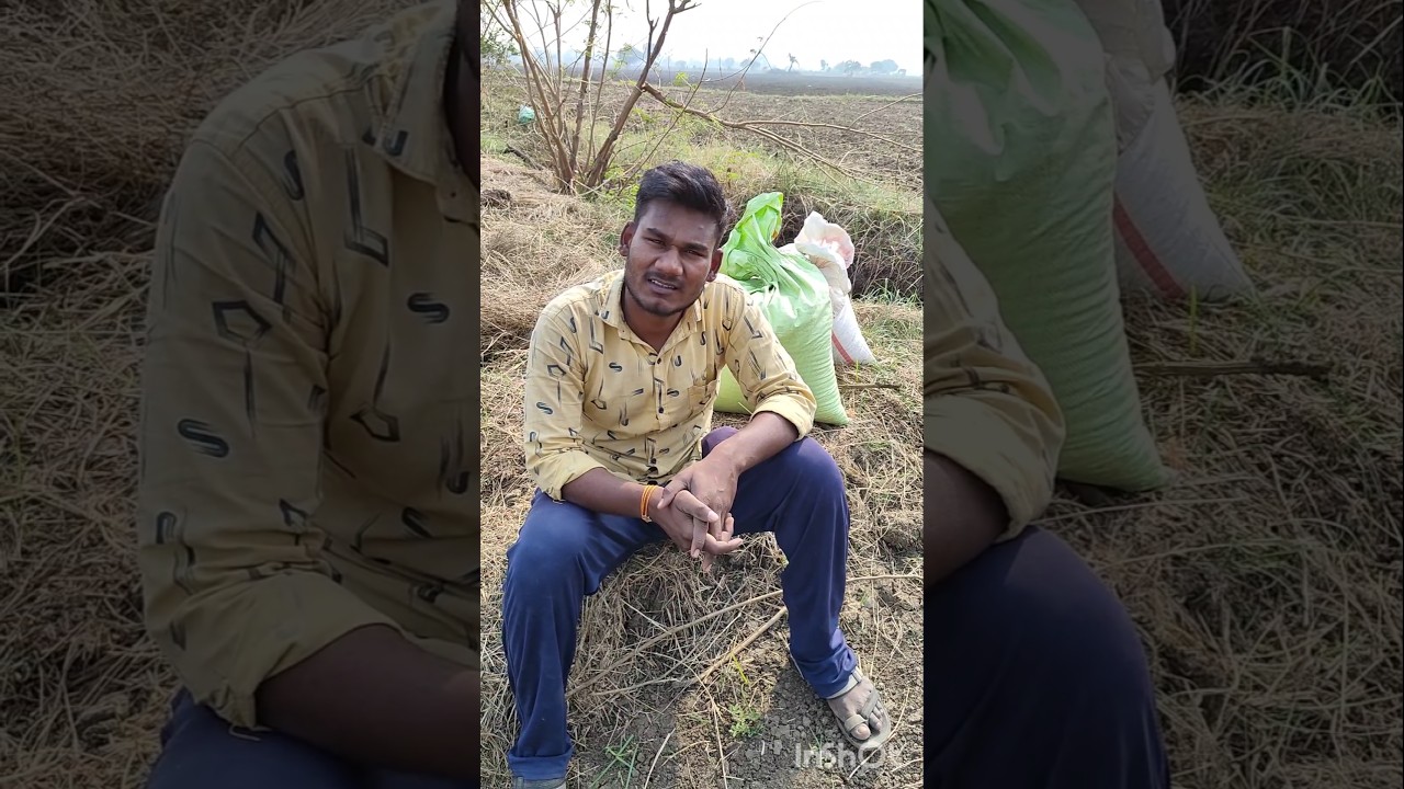 #khetibadi#boani gehu#youtube #youtubeshorts - YouTube