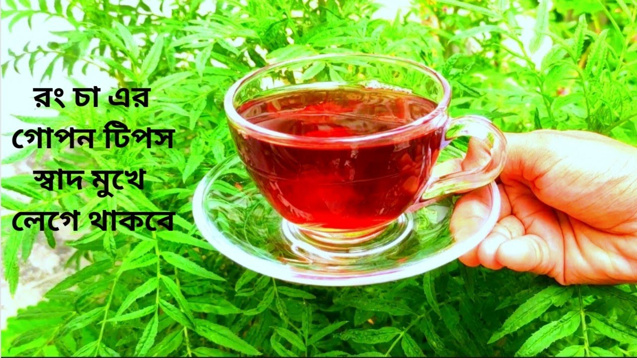 রং চা তৈরির গোপন টিপস ।। যেমন কালার তেমন স্বাদ হবে।। perfect Tea Recipe ...