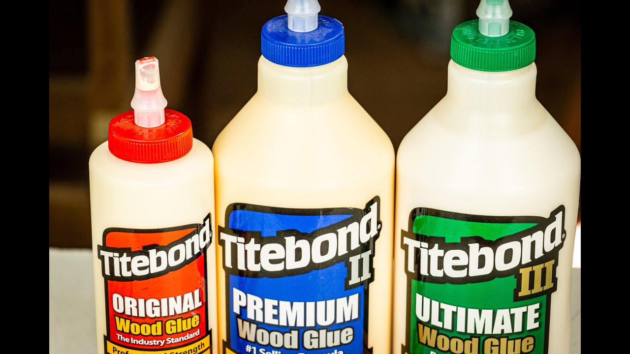 Todo Sobre La Cola De Carpintero - YouTube