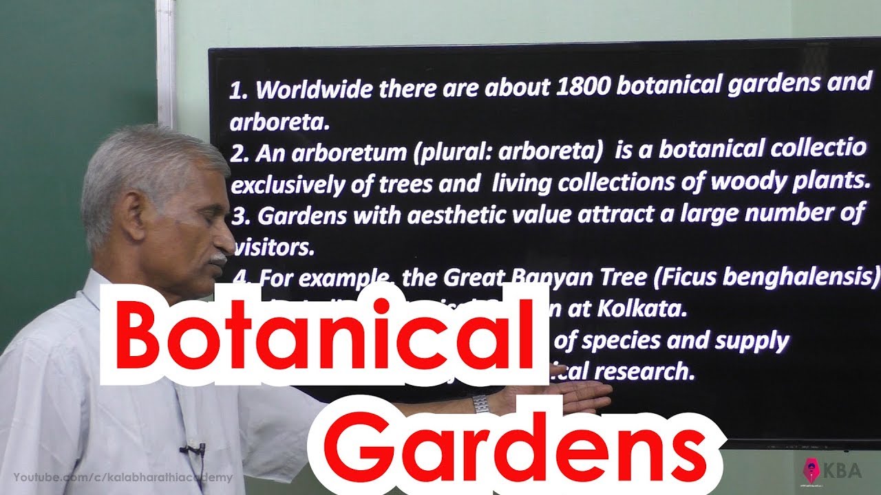 8.Botany | Taxonomy & Systematic Botany | Botanical gardens - YouTube