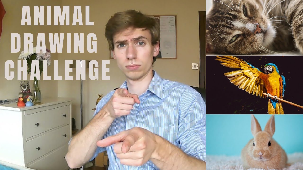 FRENCH ANIMAL DRAWING CHALLENGE // Learn French basics for kids - YouTube