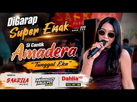 Digarap Super Enak ..!! Si Cantik Amadera \