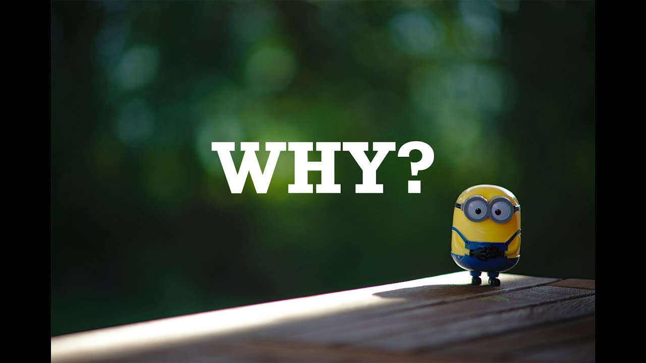 Why? - YouTube
