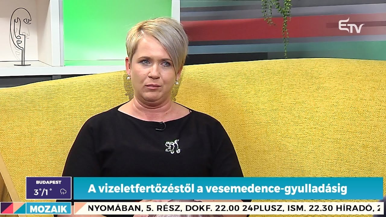 A vizeletfertőzéstől a vesemedence-gyulladásig – Rendelő a Mozaikban ...