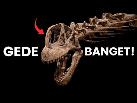 Kenapa Dinosaurus Leher Panjang Gede Banget?