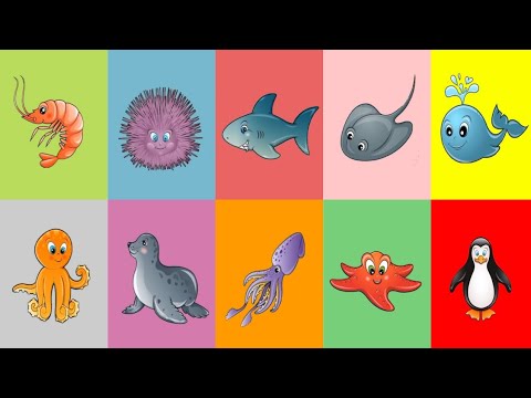 Learn Sea Animals | Ocean Animals for Kids | Animals Puzzle and Real ...