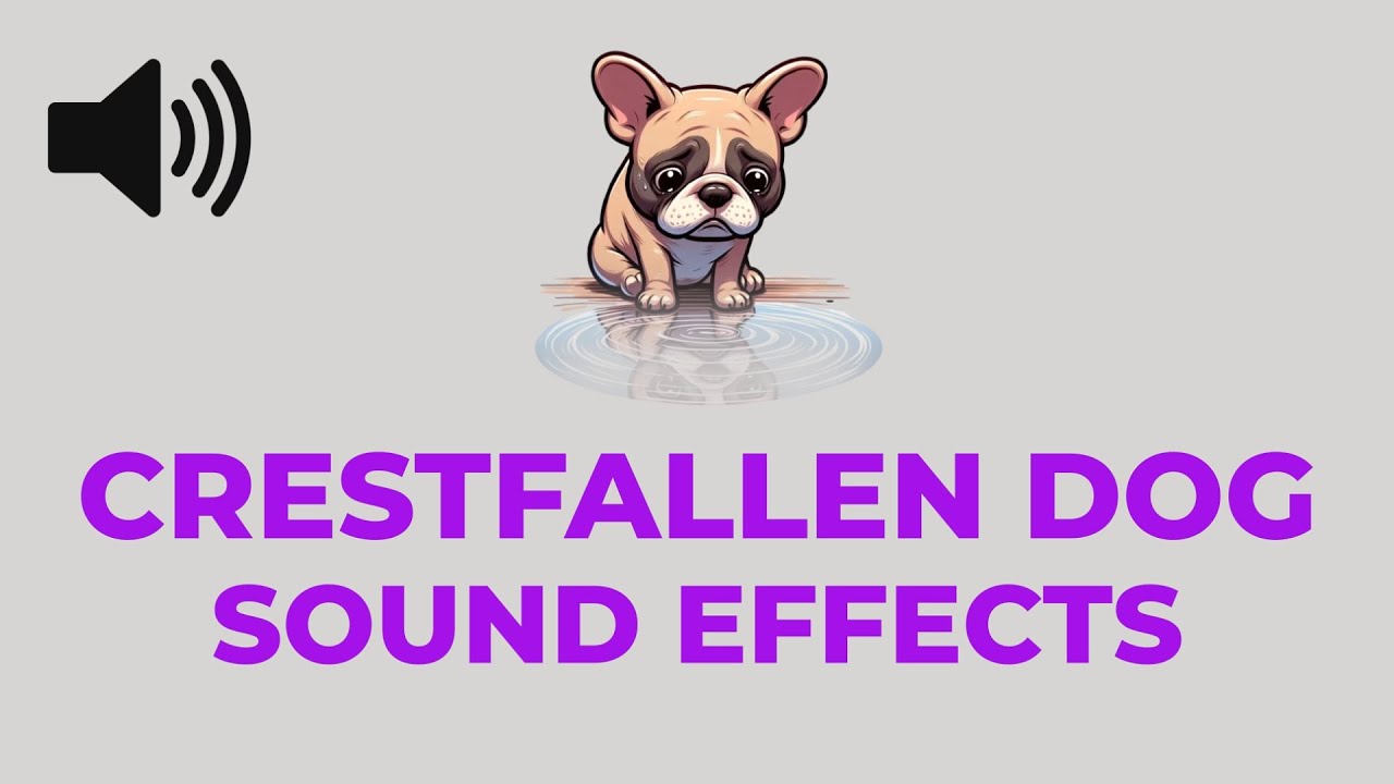 Crest-fallen dog Sound Effects Sfx | Disappointed Sound Effects - YouTube