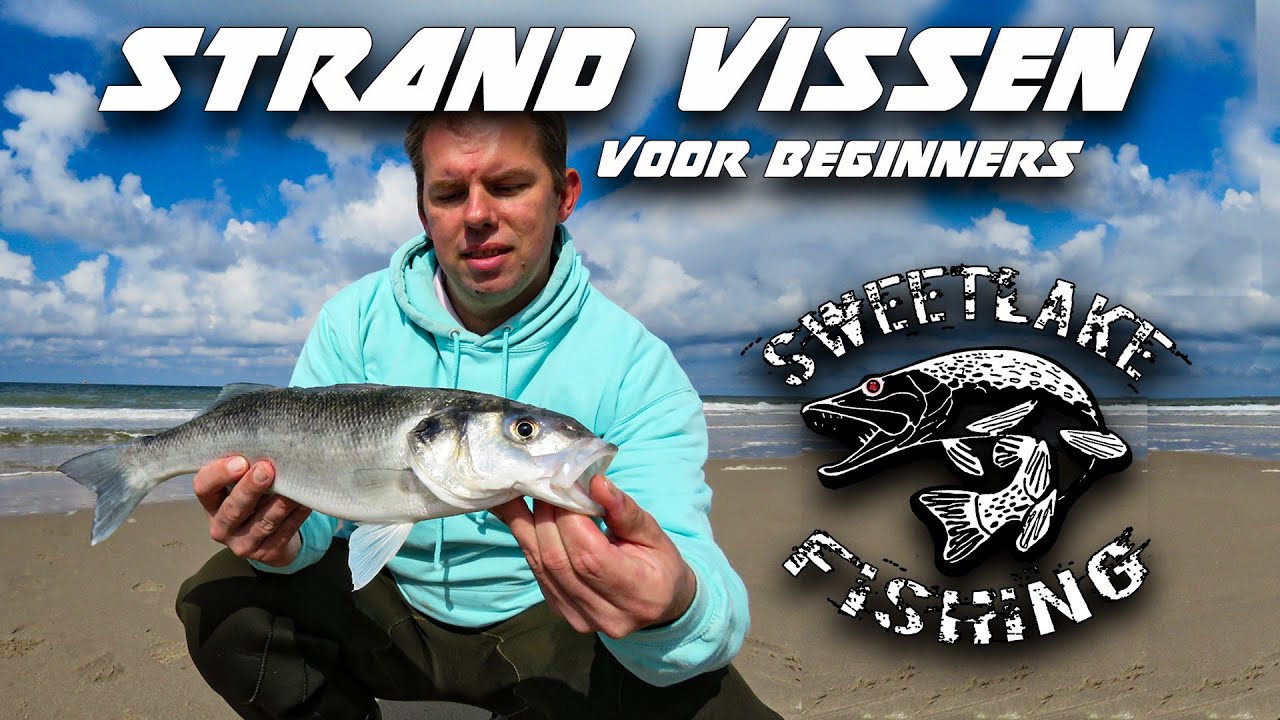 Strand vissen voor beginners / Zeebaars - YouTube