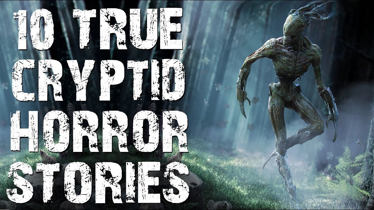 10 TRUE Disturbing Cryptid & Fae Horror Stories From The Deep Woods ...
