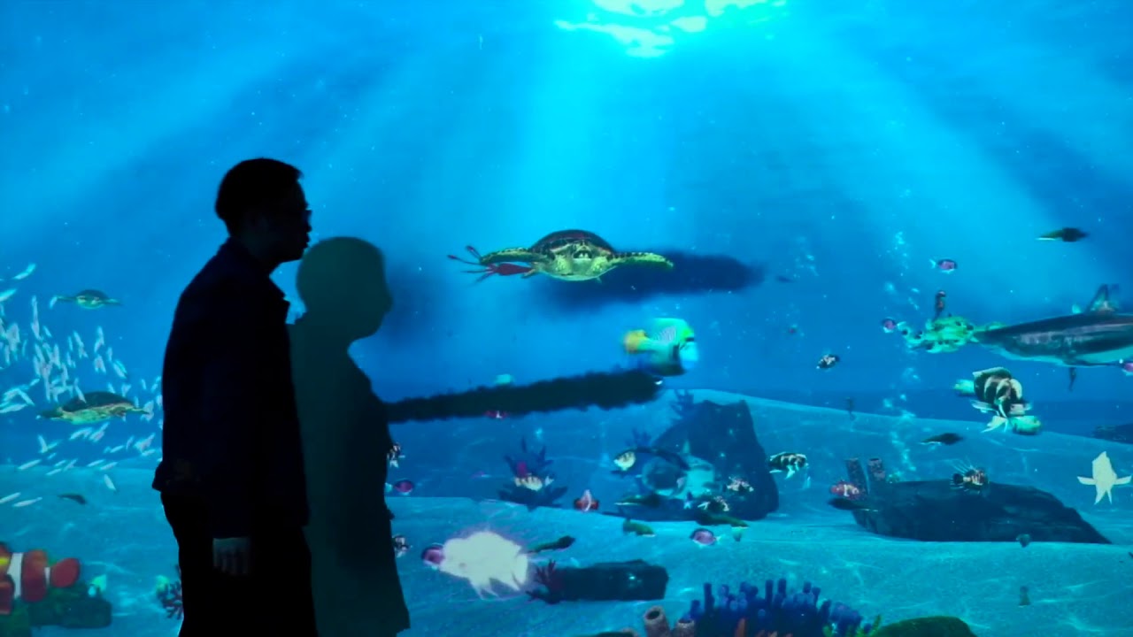 Interactive Sea World 2 - YouTube