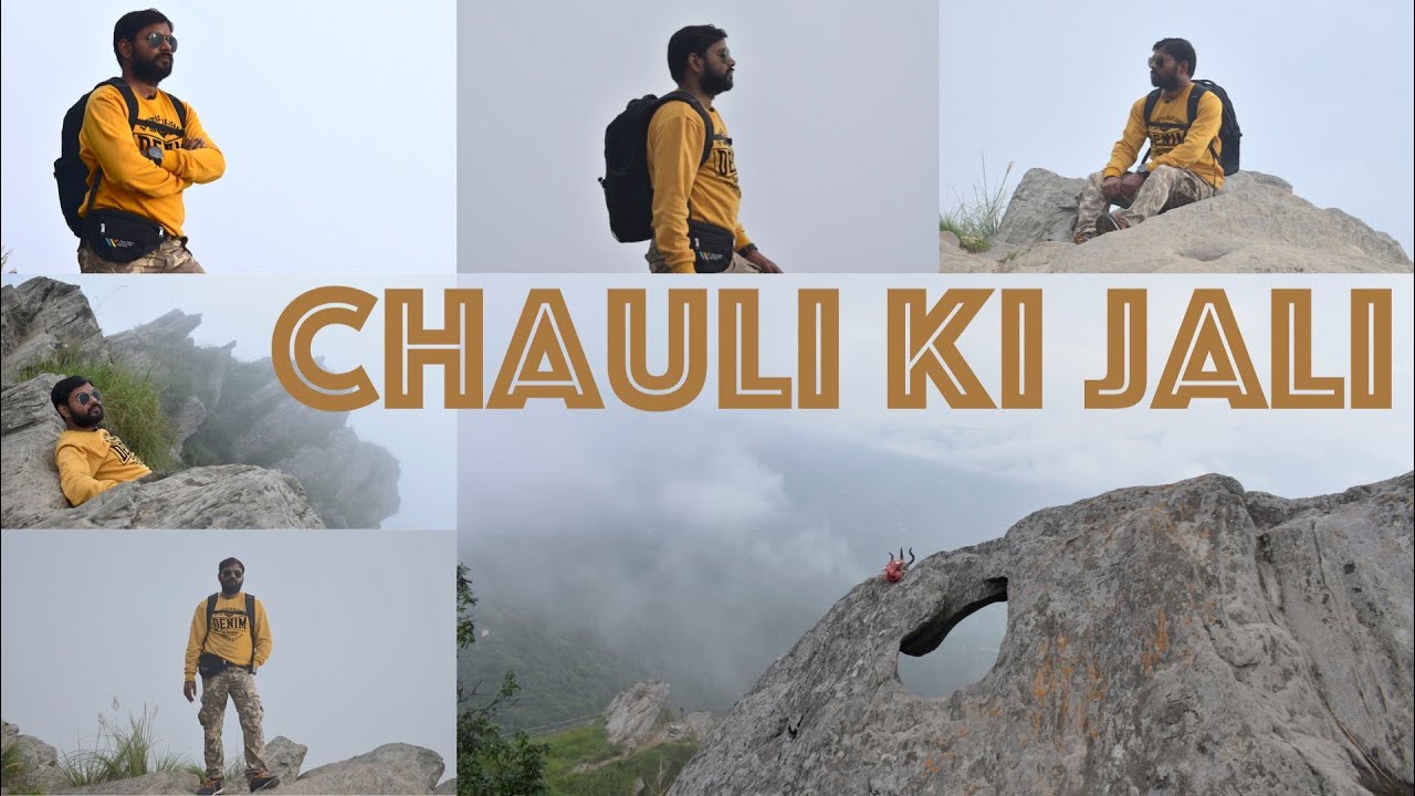 Through the Deep Forest | Chauli Ki Jali | Mukteshwar | Nainital ...