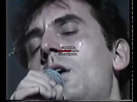 MANGO -Soli nella notte