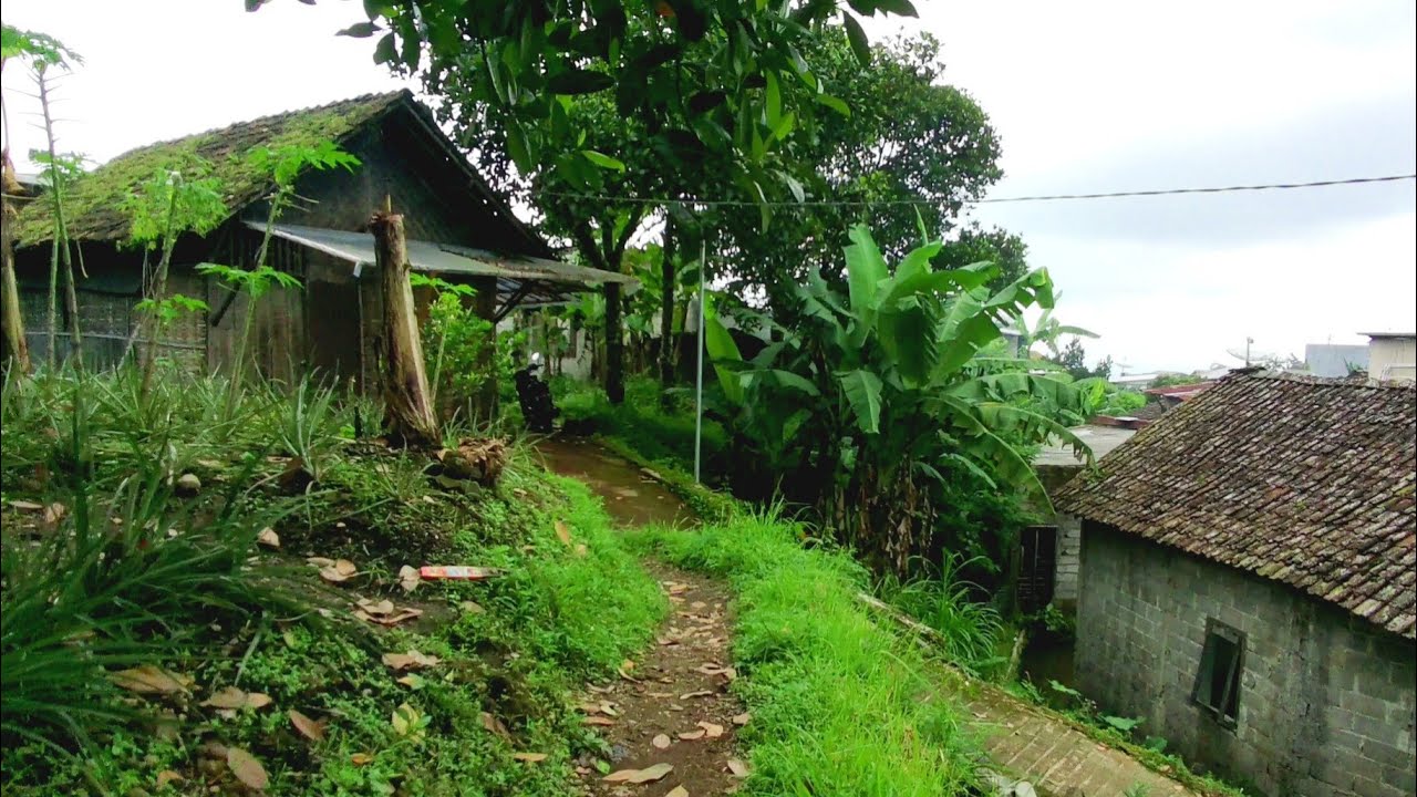 Suasana Lebaran di Kampung Yang Asri dan Sejuk, Sumberdalem Kertek ...