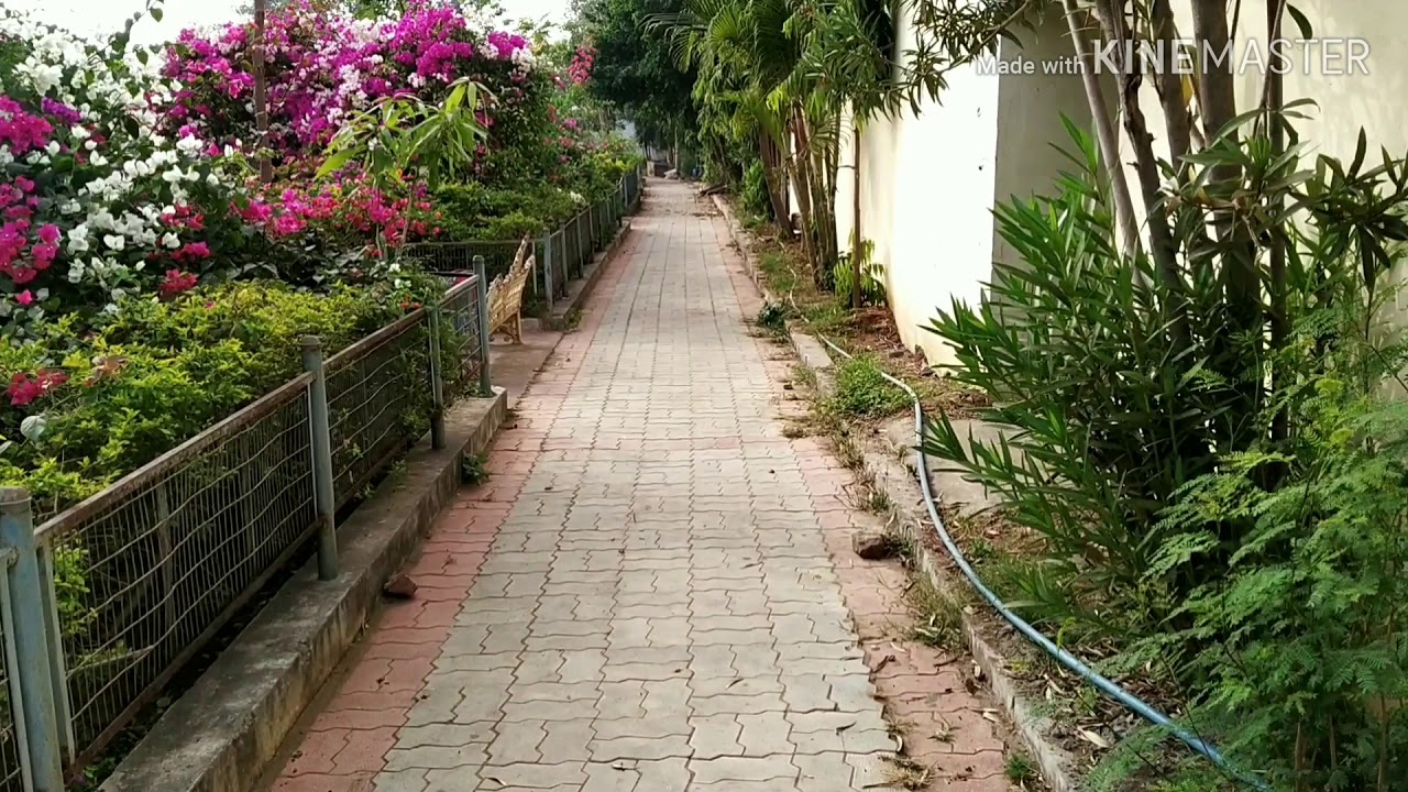 Buddha Park in Eluru | WestGodavari | AndhraPradesh | Tourist Place ...