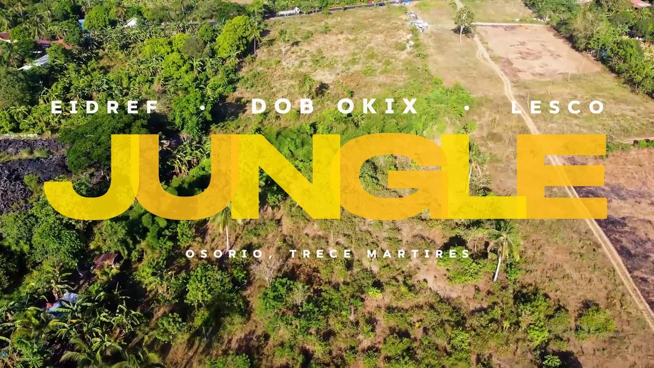 DOB OKIX - JUNGLE (Official Music Video) feat. @Eidrefofficial ...