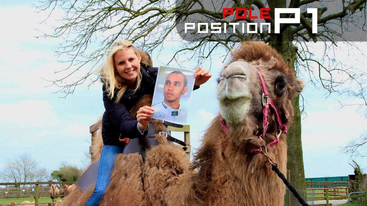 Camel chooses winner of F1 Bahrain GP 2013 - YouTube