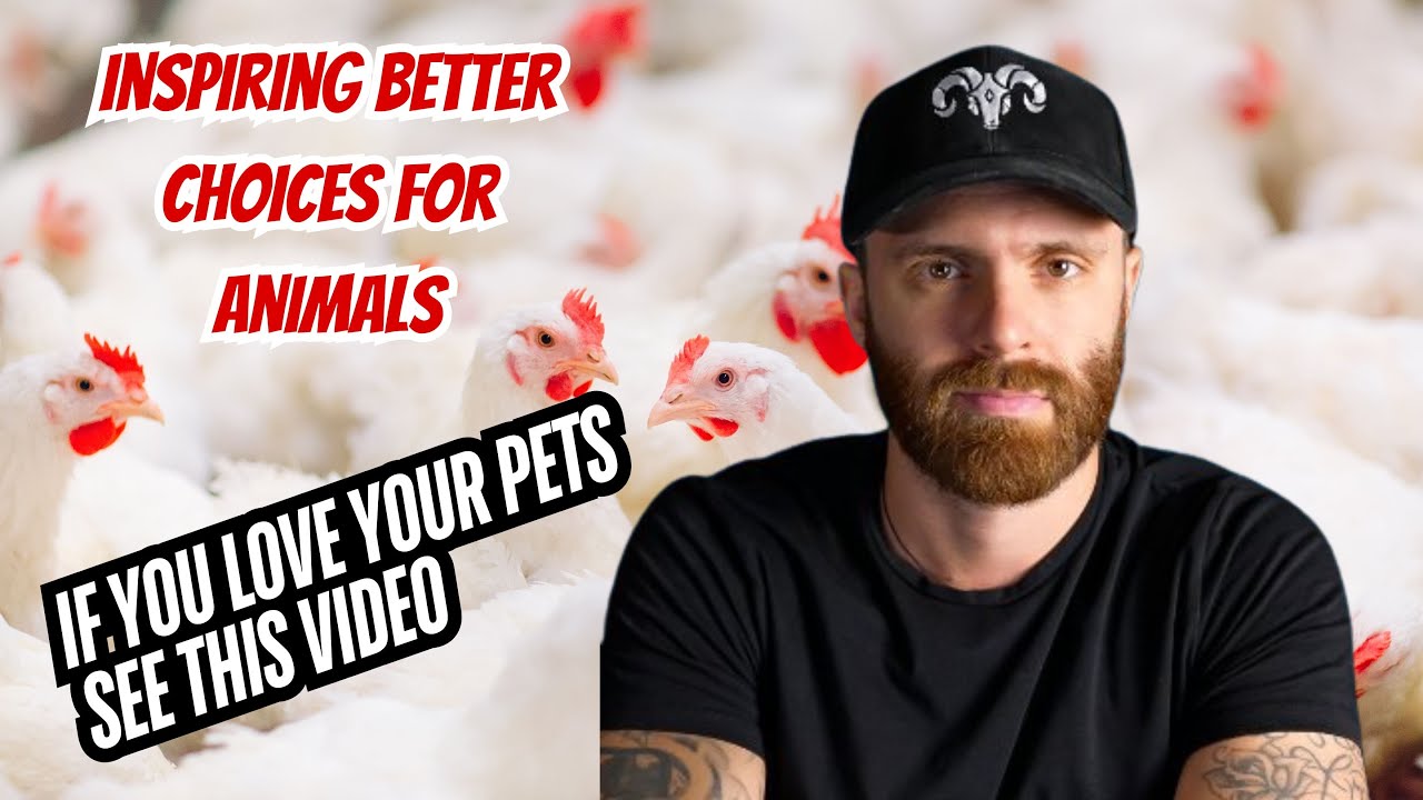 Inside the Life of an Animal Rights Videographer" - YouTube