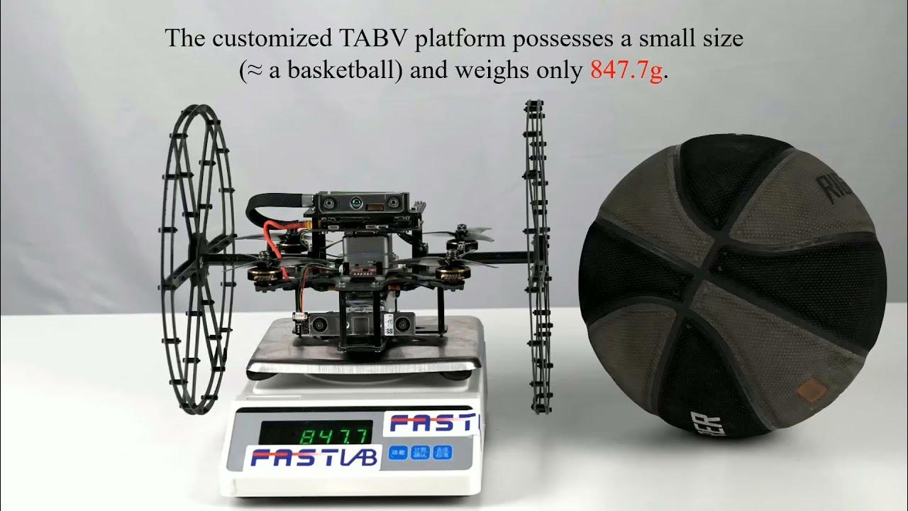 Autonomous and Adaptive Navigation for Terrestrial-Aerial Bimodal ...