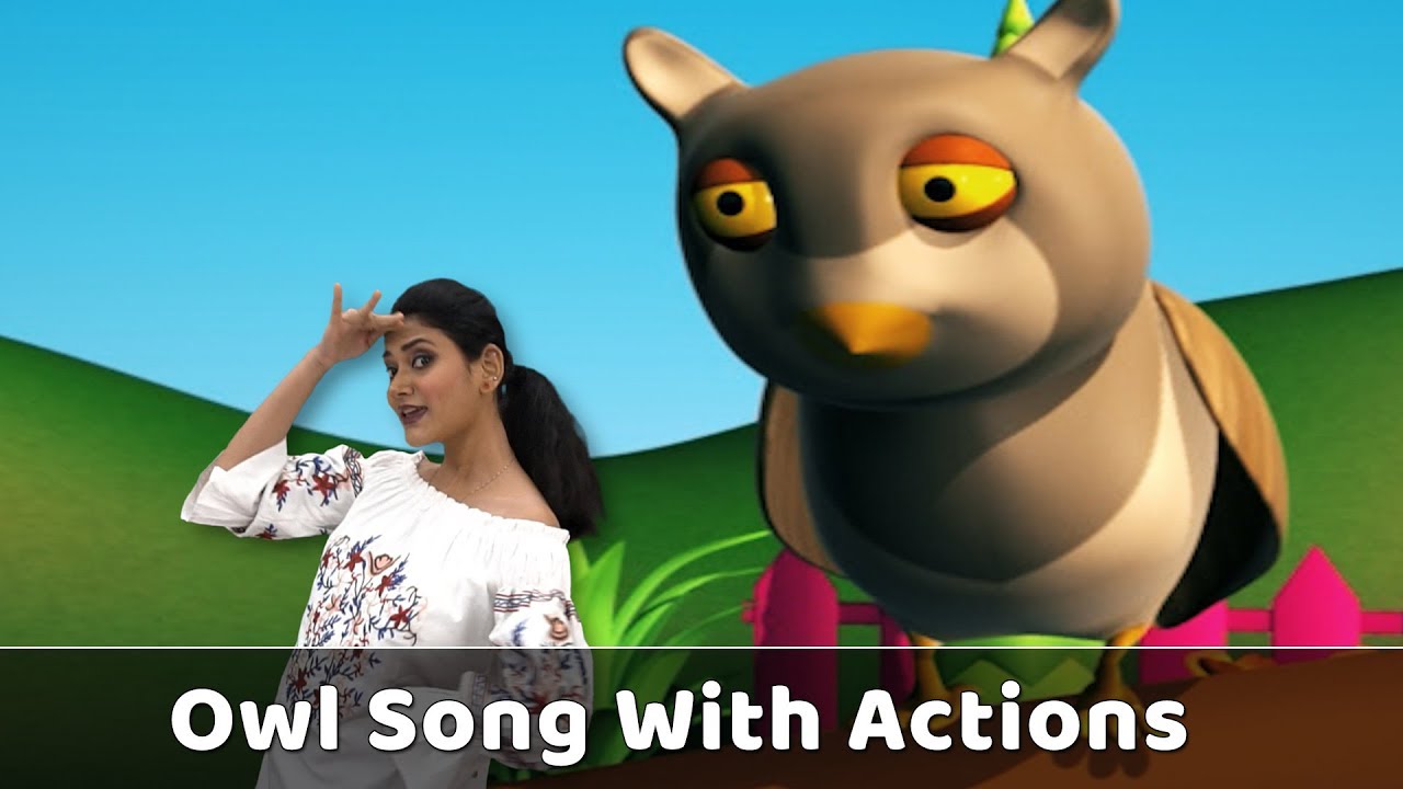 Owl Song For Babies | Owl Action Song | Owl Rhyme With Actions | Bird ...