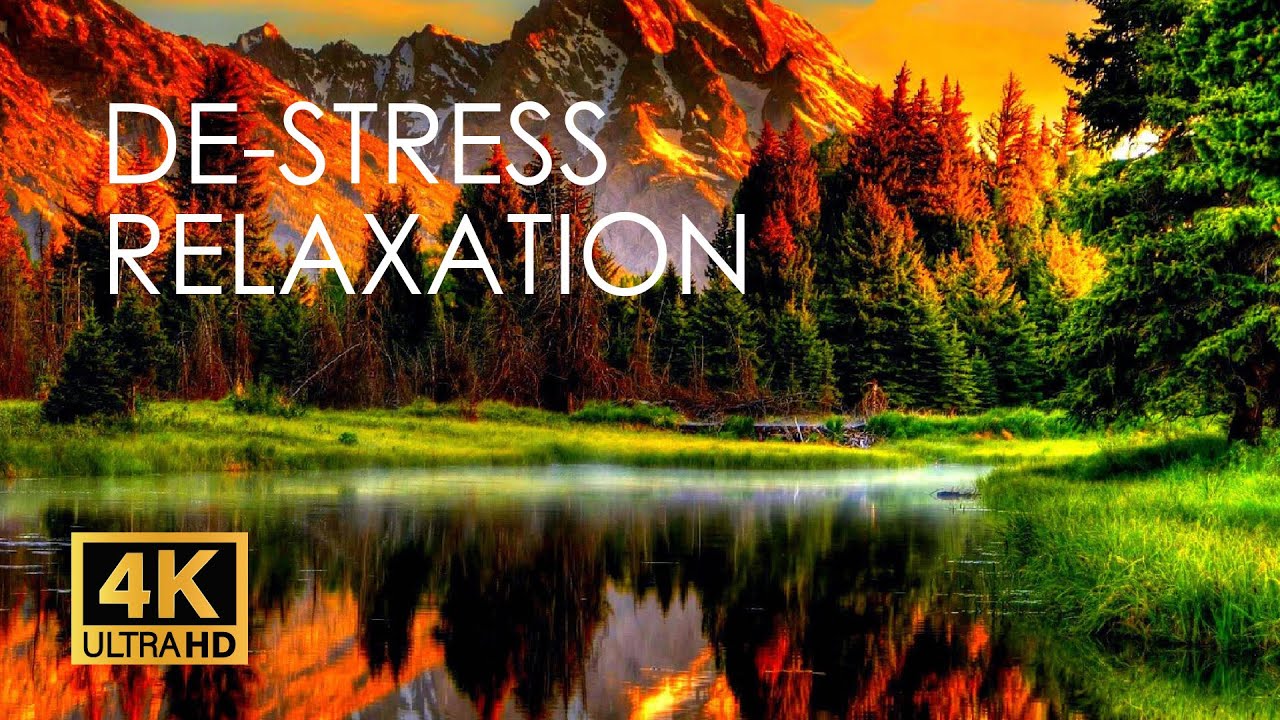 Nature Music for Peace & Relaxation | De-Stress Relaxation | Focus ...