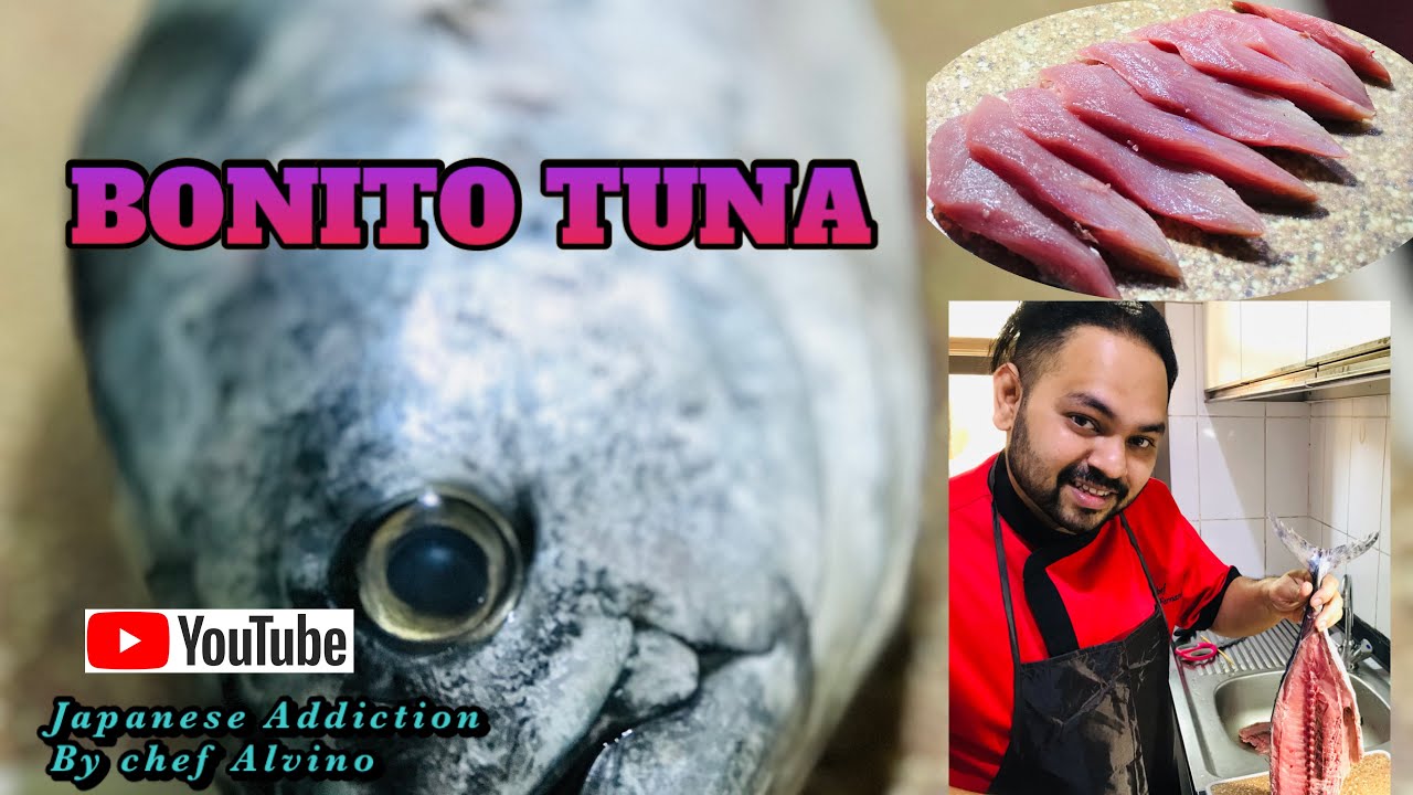 BONITO TUNA|How to clean and cut skipjack tuna| カツオ #sushi #sashimi ...