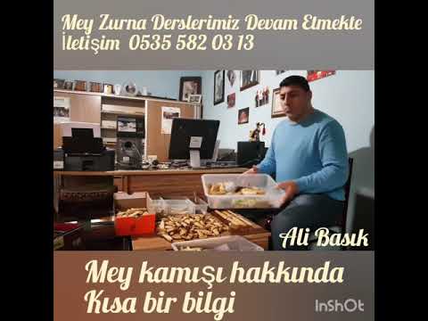 Mey kamış hakkında bilgiler