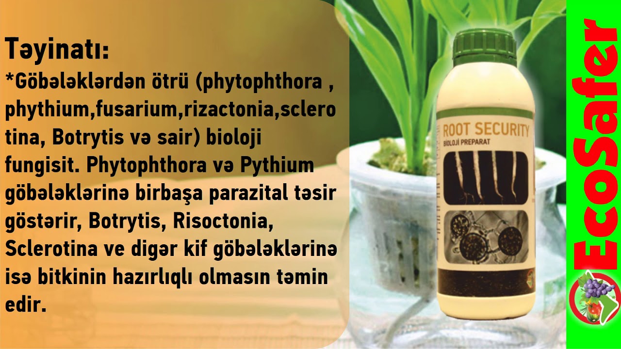 ROOT SECURITY - BİOLOJİ PREPARAT - YouTube