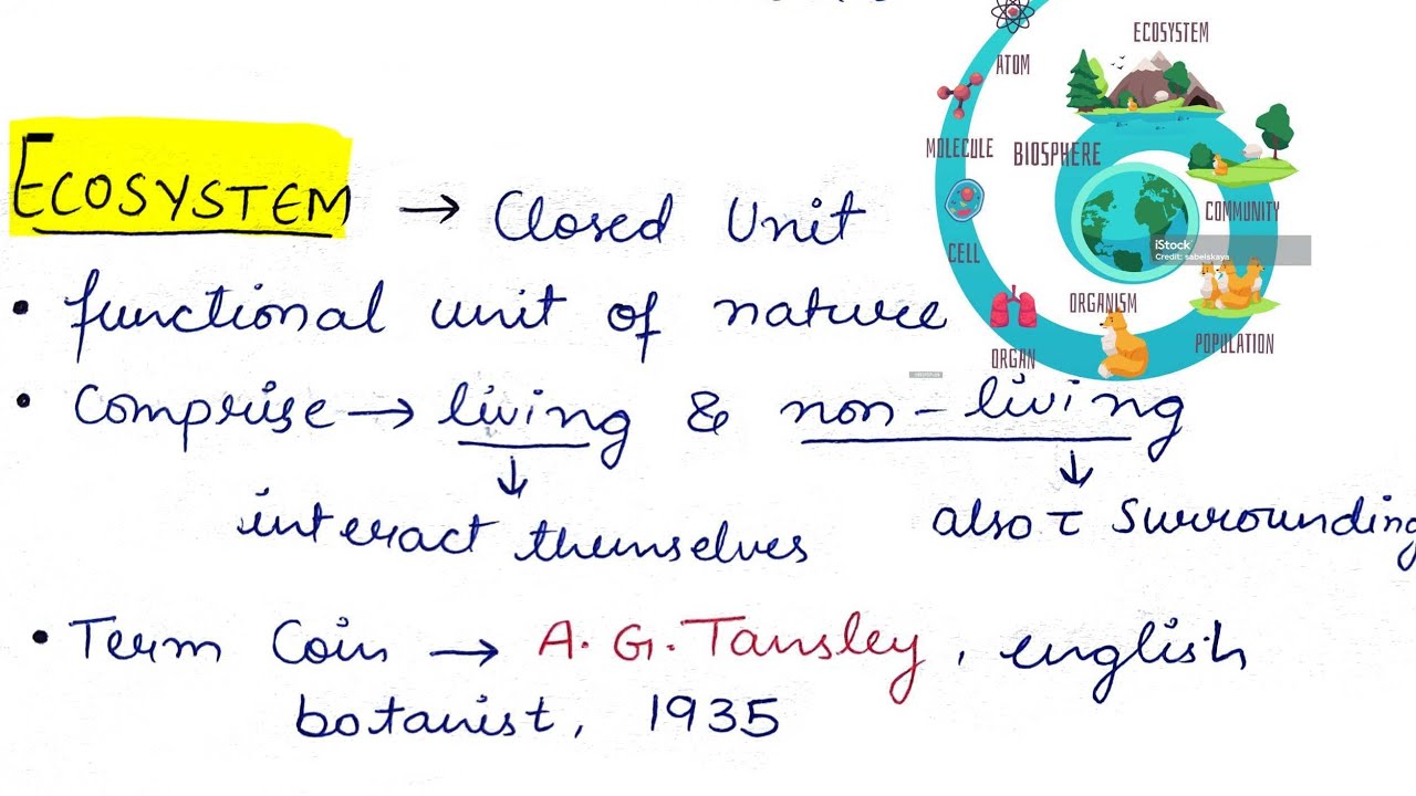 Ecosystem || Components of Ecosystem || Lec. 2 || JKSSB || VLW || FAA ...