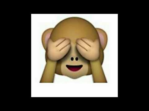 Paltalk TSo KAvga 2016