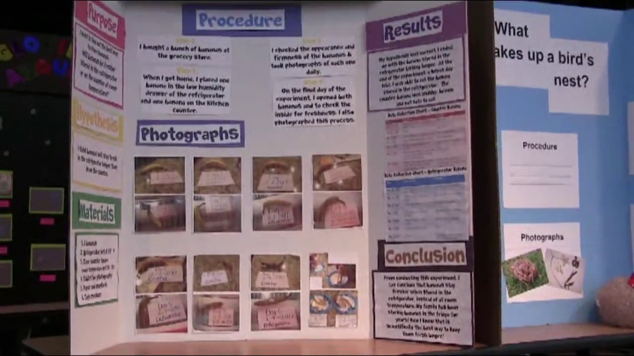 Science Fair Results - YouTube