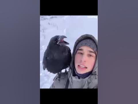 Hotline Vorona - YouTube