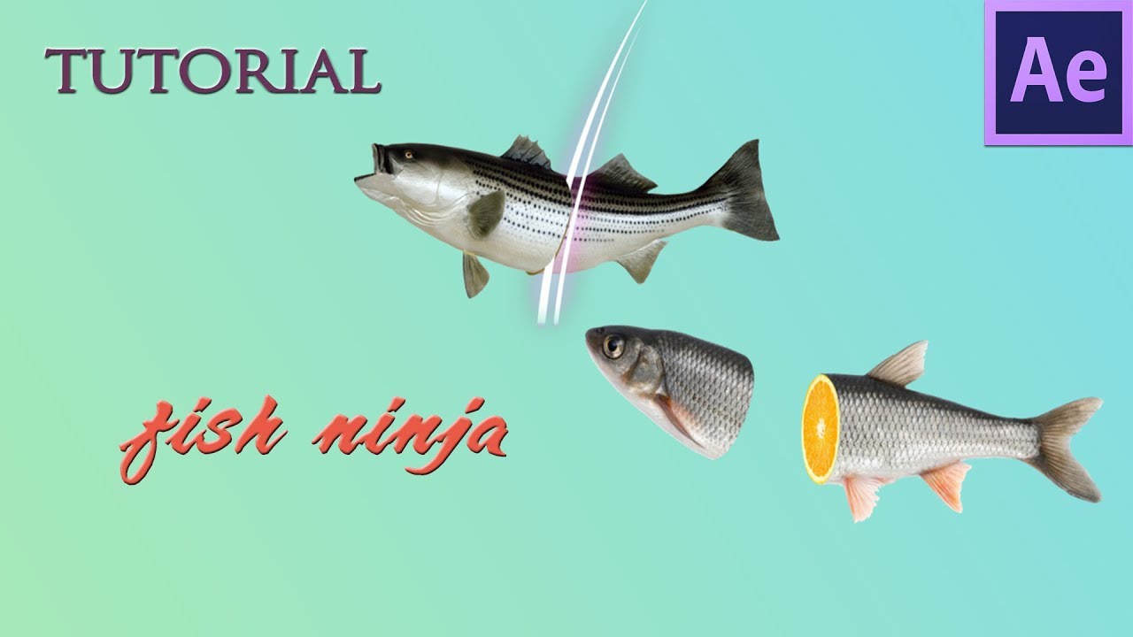How to create "Fish Ninja" video like Fruit Ninja by After Effects - 47 ...