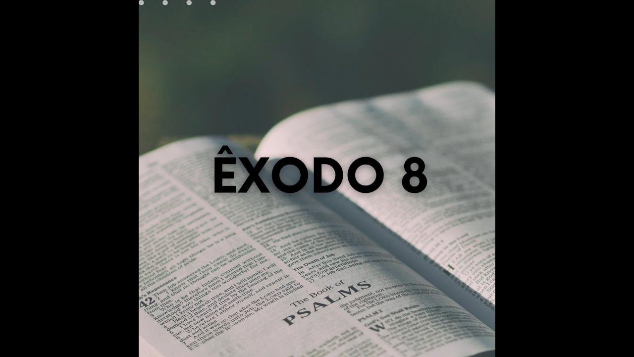 ÊXODO 8 - A Praga das Rãs - YouTube