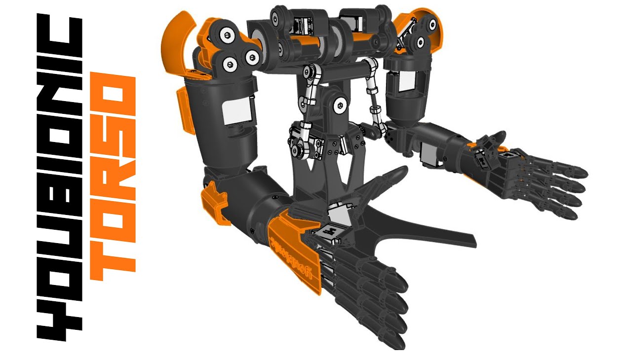 Youbionic Torso 3D Model - YouTube