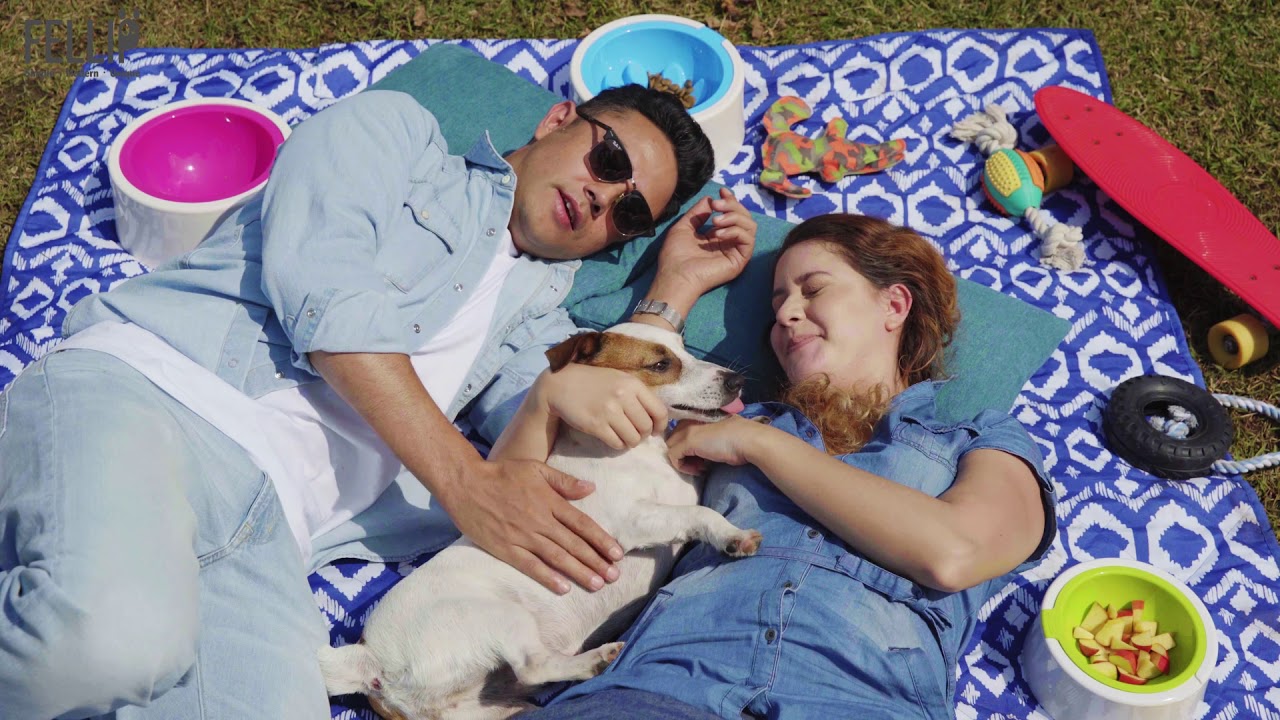 Felli Pet Kaleido Collection - YouTube