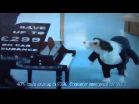 Go compare advert (shortened version) - YouTube