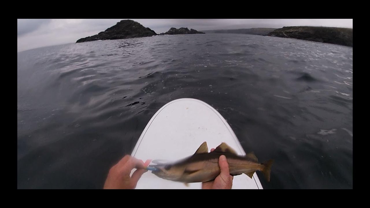 FISHING CORNWALL- ON A PADDLE BOARD CATCHING POLLOCK - YouTube