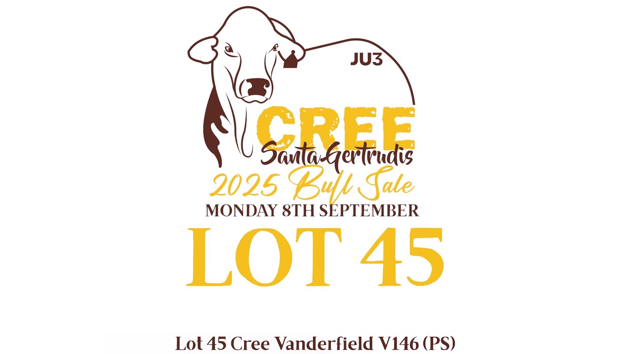 Lot 45 Cree Vanderfield V146 (PS) - YouTube