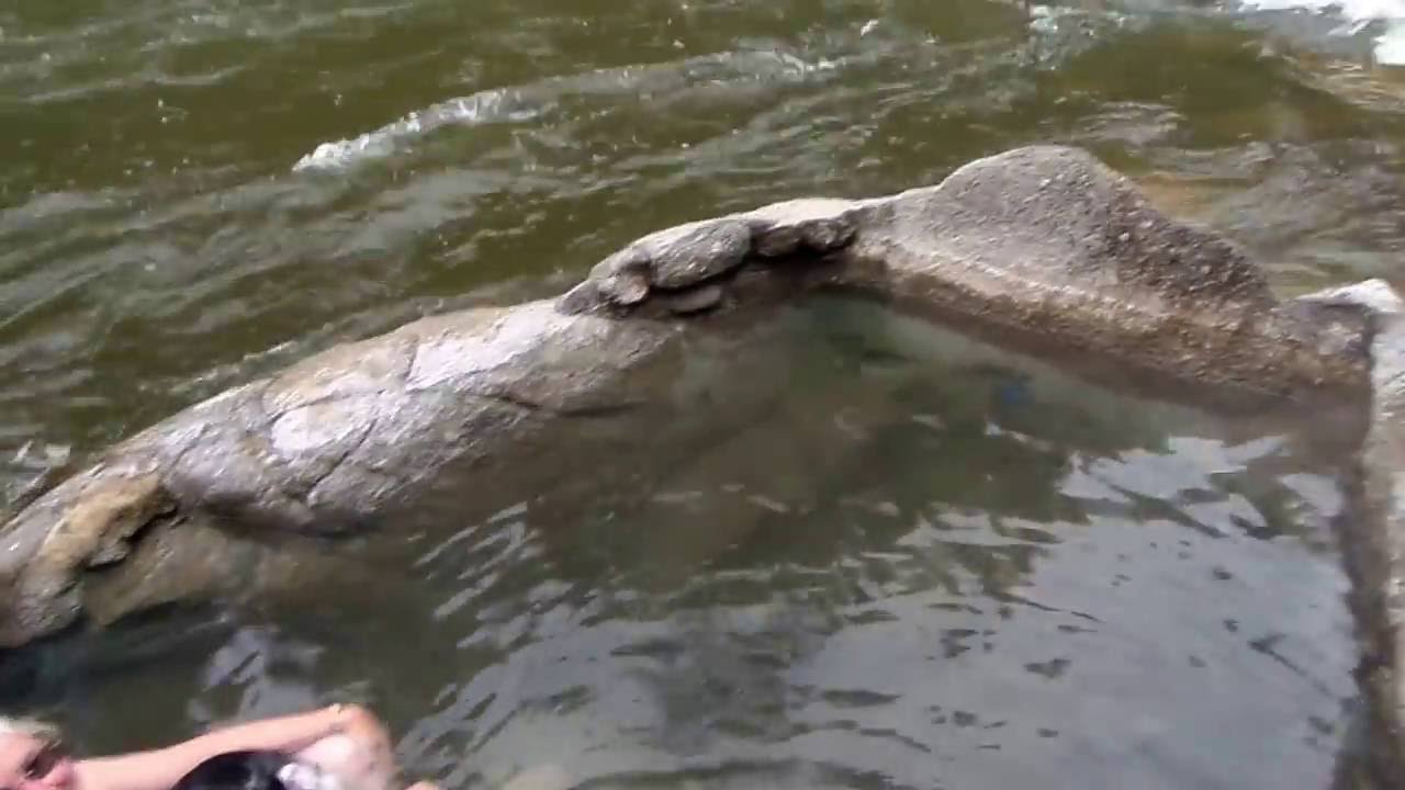 Warm Lake~ Idaho hot springs 2016 HD by Robert Scott, Boise, ID - YouTube