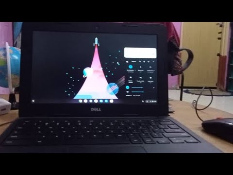 how to play chromebook chicken gun - YouTube