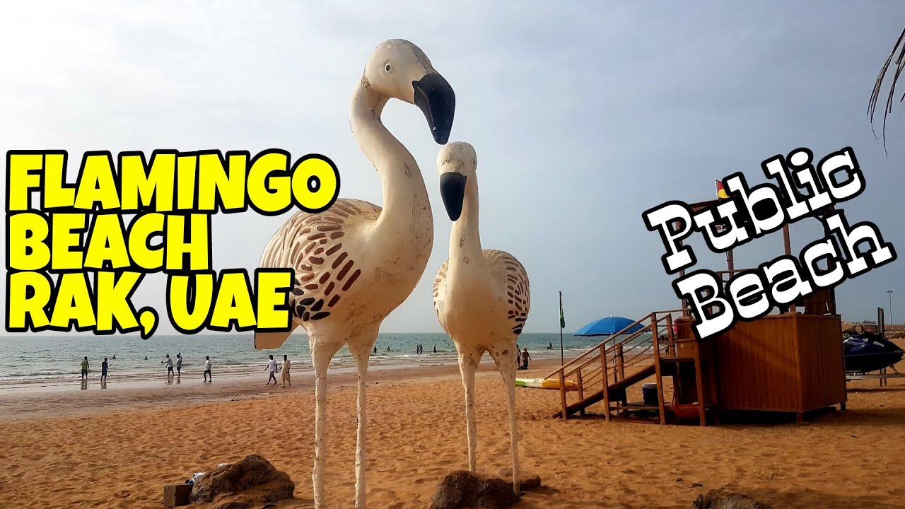 FLAMINGO BEACH RAS AL KHAIMAH || BIN MAJID OPEN BEACH - YouTube
