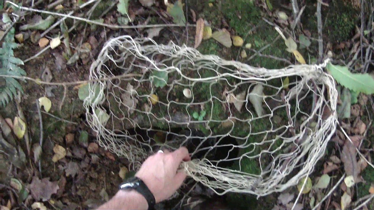 Ferreting for rabbits 2017 part 2 - YouTube