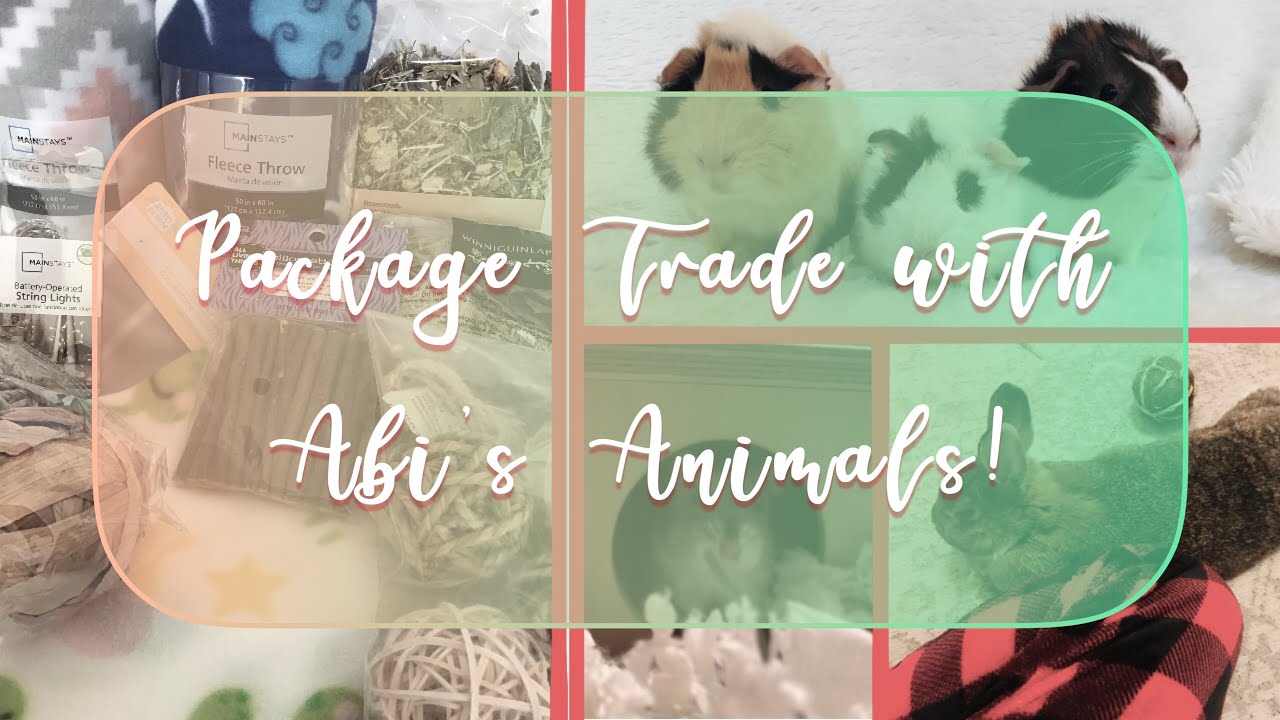 Opening a Package from Abi’s Animals! | Package Trade with Abi’s ...